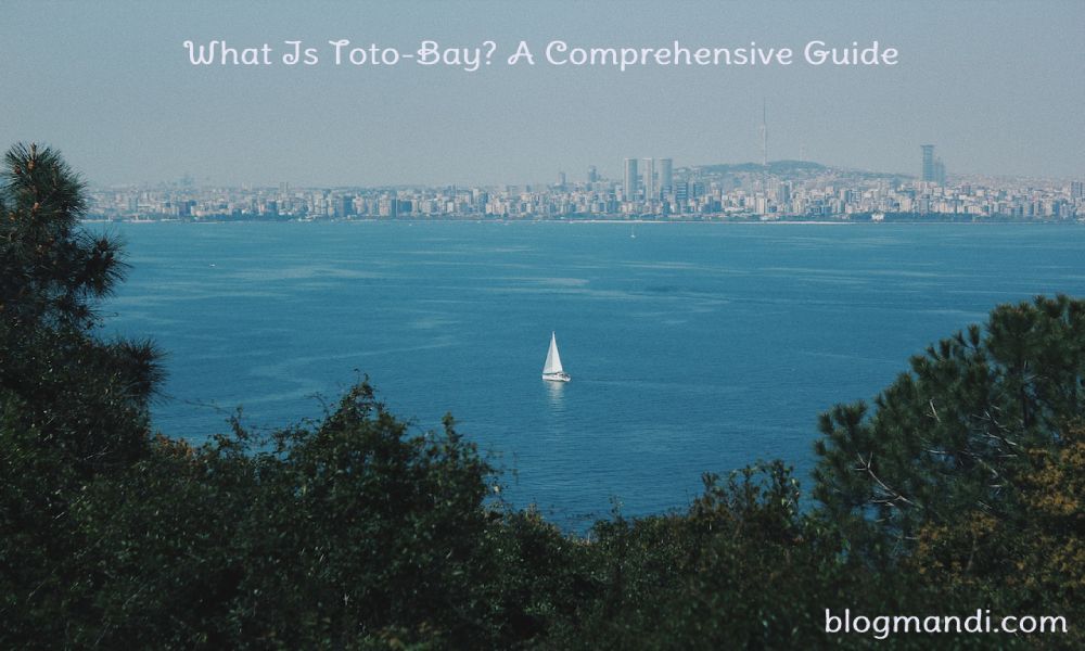 What Is Toto-Bay? A Comprehensive Guide - BlogMandi